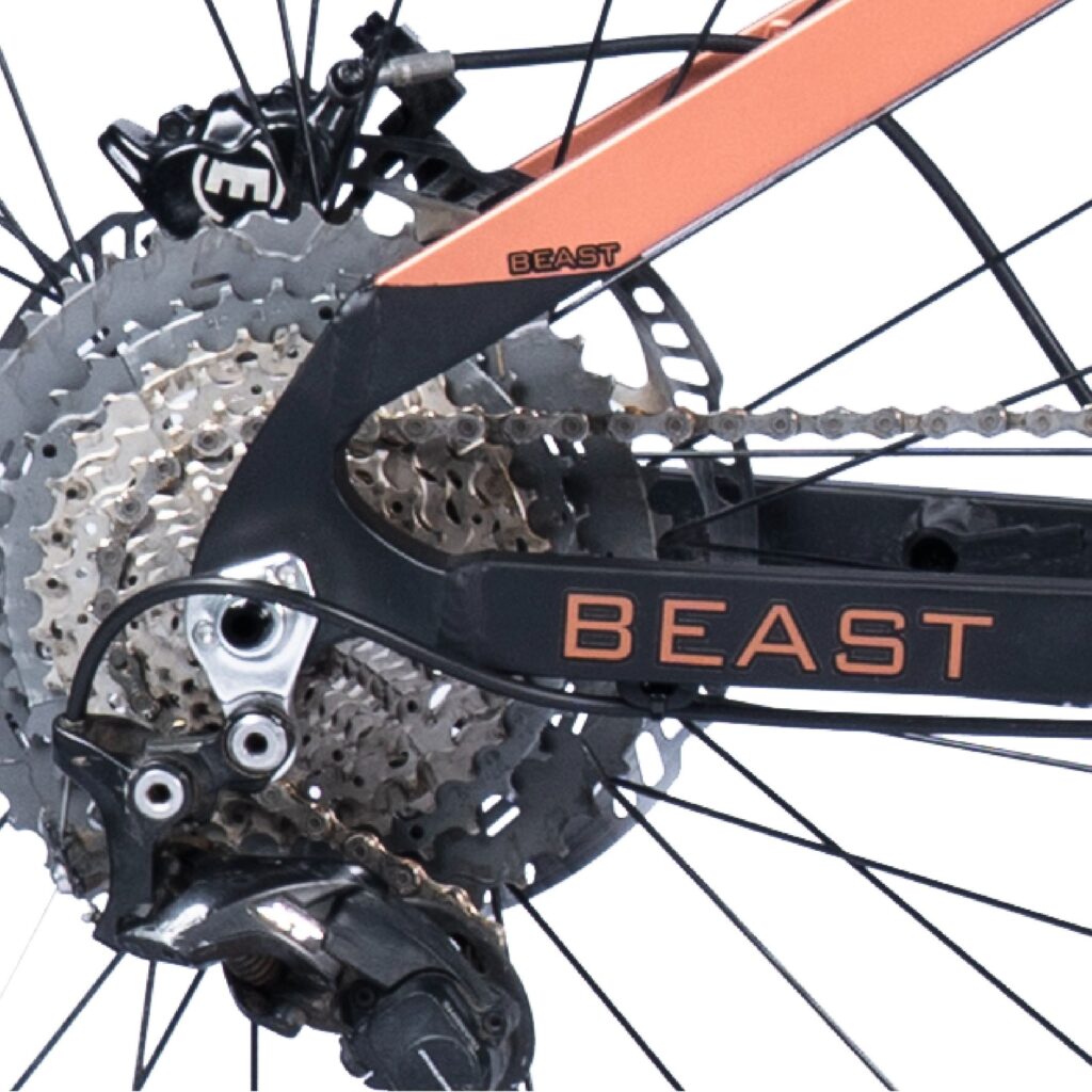 Beast – FreyBike