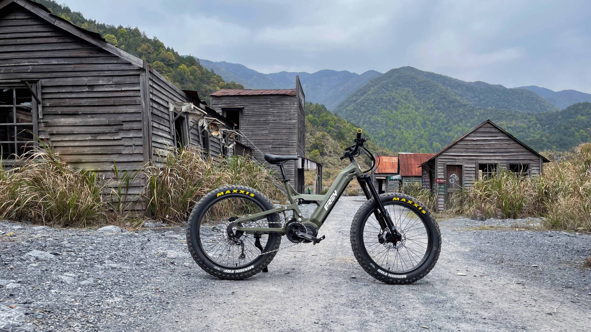 step through electric bikes - FreyBike